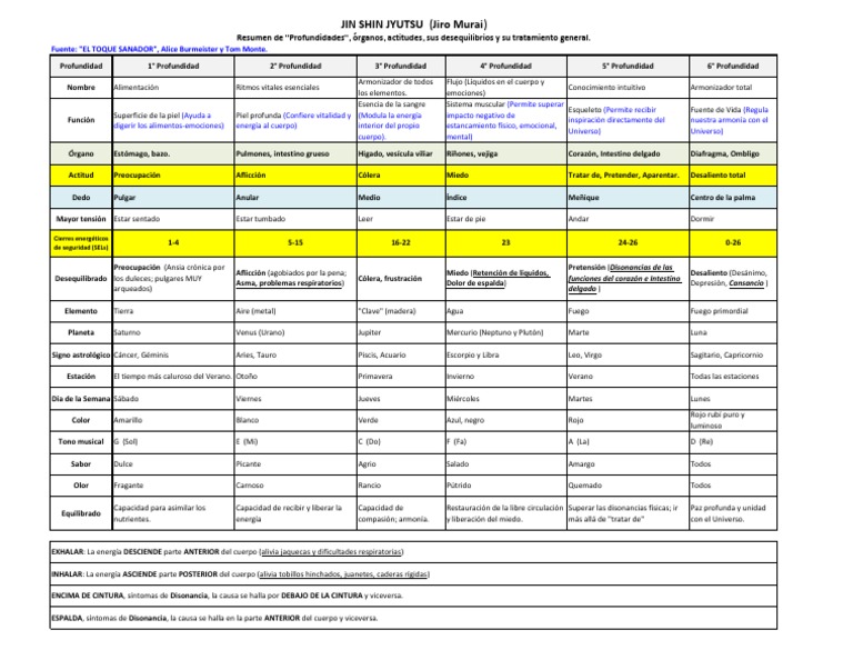 JSJ Guia Rapida TSana | PDF