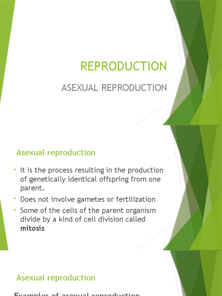 Asexual Reproduction | Download Free PDF | Sexual Reproduction | Reproduction
