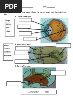 Emosyon at Damdamin Worksheet | PDF