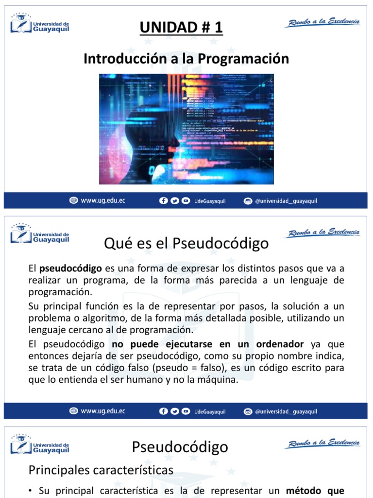 Introducción a la programación mediante pseudocódigo: conceptos básicos, ejemplos y herramientas ...