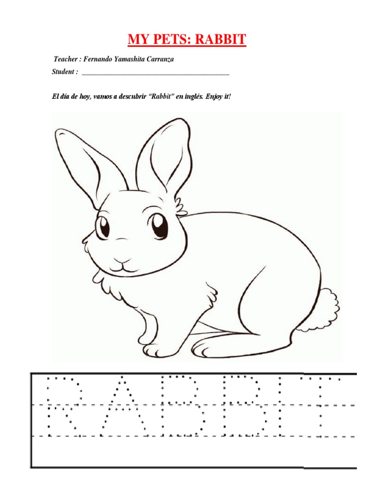 My Pets - Rabbit | PDF