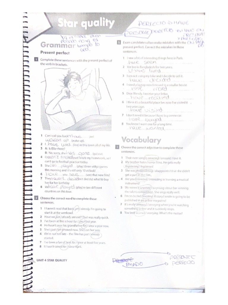 Star Quality | PDF