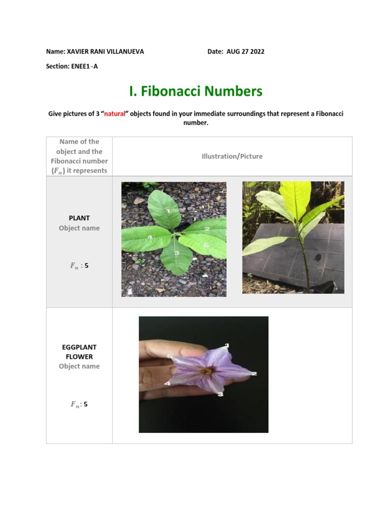 Golden Ratio Activity' | PDF | Beauty | Mathematics