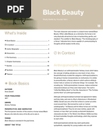 Black Beauty Vocabulary Workbook | PDF | Vocabulary | Spelling