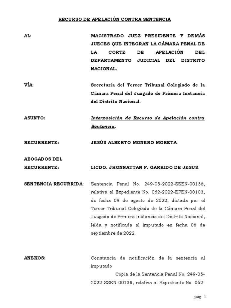 RECURSO DE APELACION SENTENCIA PENAL-jesus | PDF | Sentencia (ley) | Procedimiento Criminal