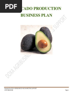 Hass Avocado Farming Guide PDF | PDF | Grafting | Avocado