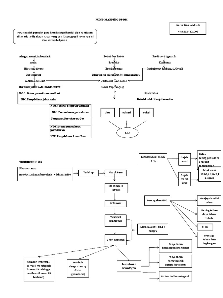 Mind Mapping Ppok | PDF