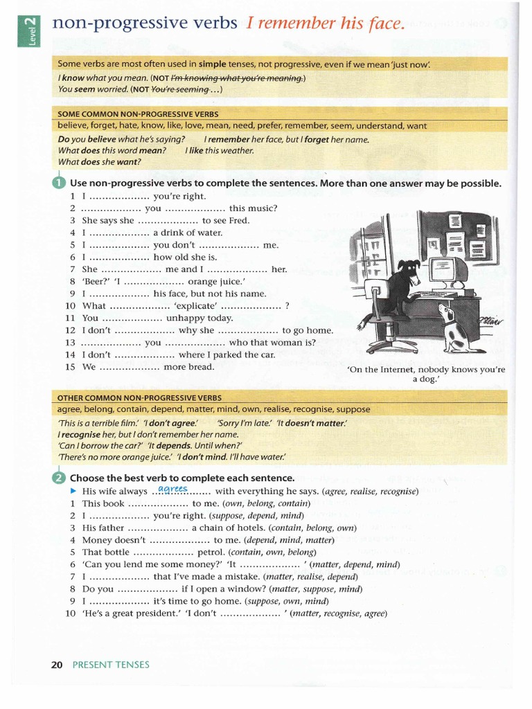 Stative and Dynamic Exerc | PDF