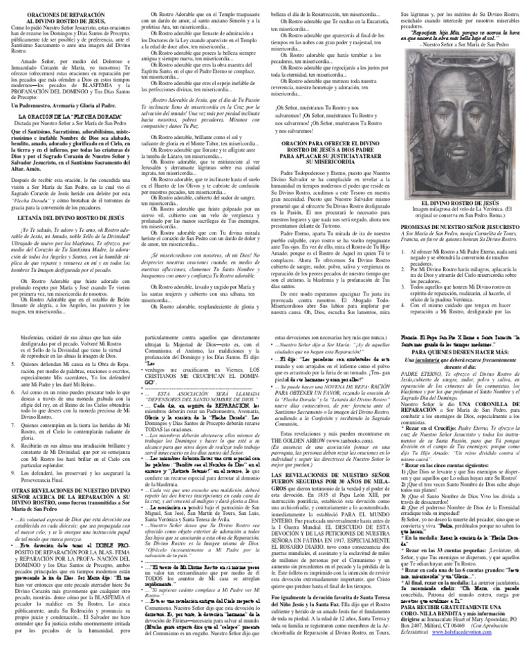 Holy Face Pamphlet - Spanish | PDF | Oración | Pecado