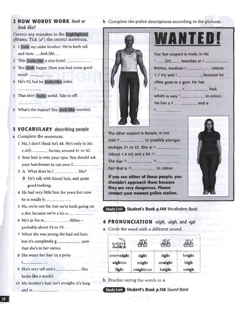 WB 3B Describing People With KEY | PDF