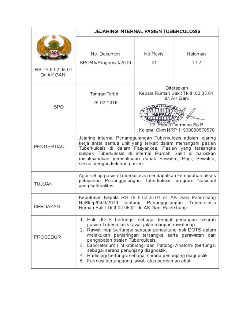 Jejaring Internal Pasien TB | PDF