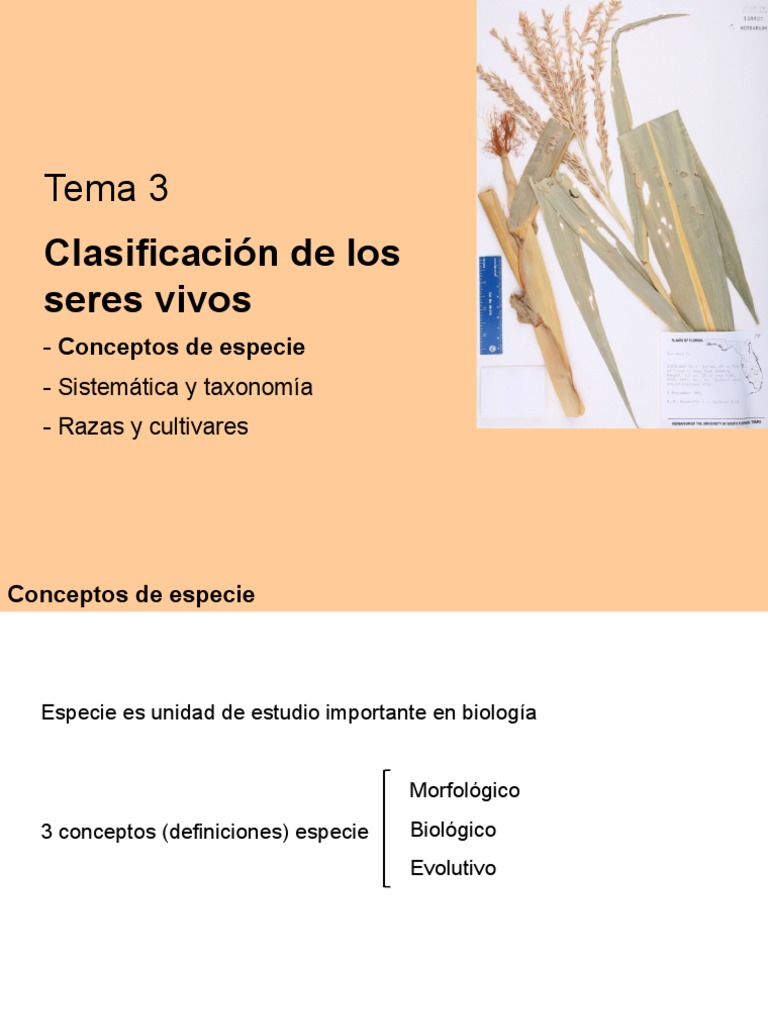 3 - Clasificación de Los Seres Vivos | PDF | Taxonomía (biología ...