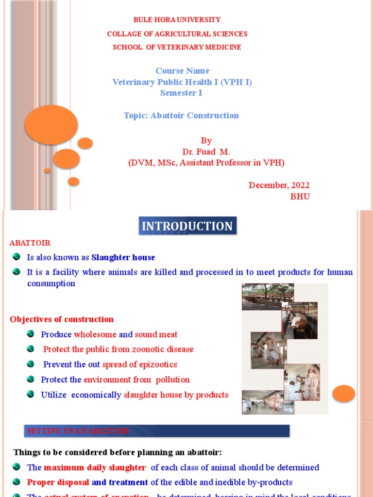 Abattoir | PDF | Slaughterhouse | Meat