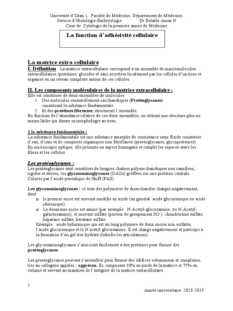 Comprendre la matrice extracellulaire | PDF | Collagène | Protéines