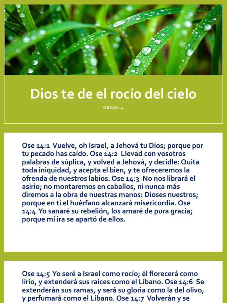 Dios Te de El Rocío Del Cielo | PDF | Bendición