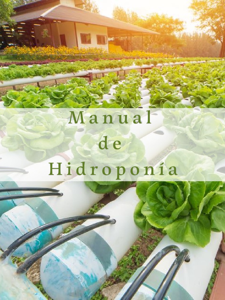 Manual de Hidroponia | PDF | Hidroponia | Química