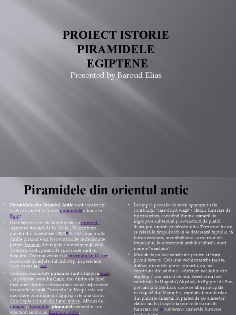 Proiect Istorie | PDF