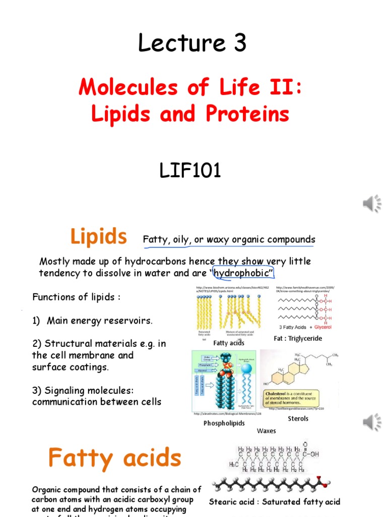 Lecture 3 LIF101 2022 Molecules of Life II Lipids and Proteins Part I | PDF | Fat | Triglyceride