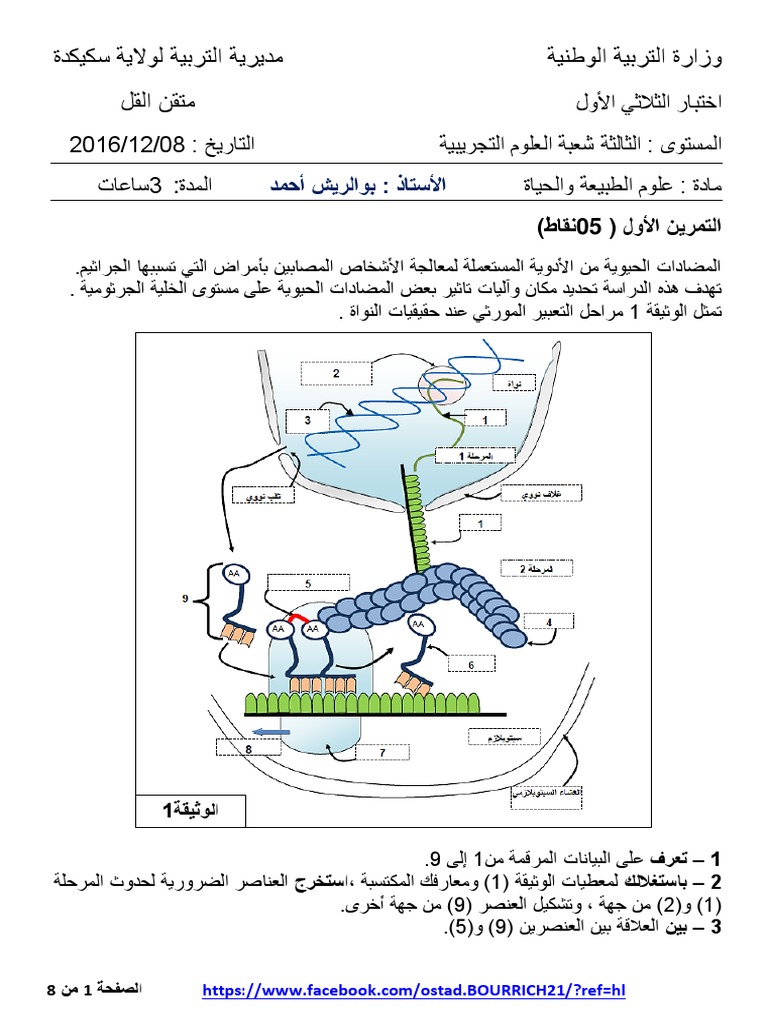 Dzexams 3as Sciences 1015843 | PDF