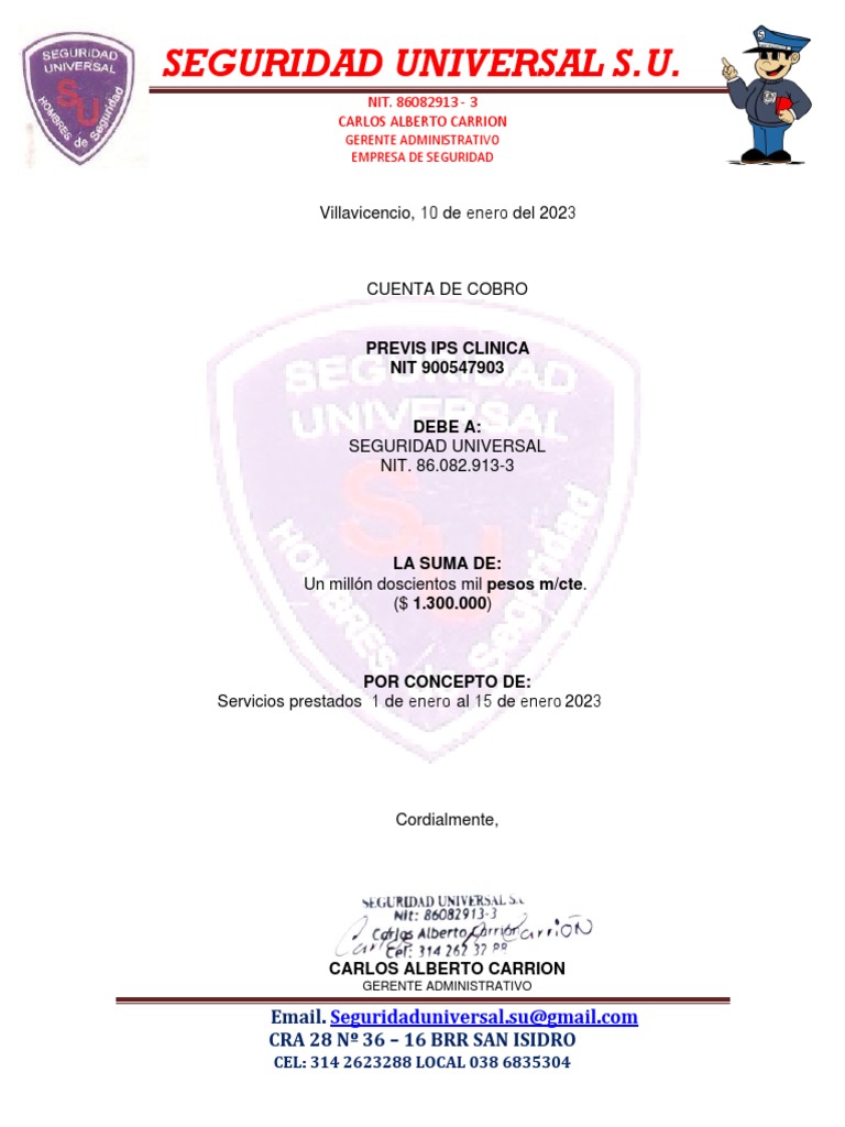 Previs Ips Clinica (01 | PDF