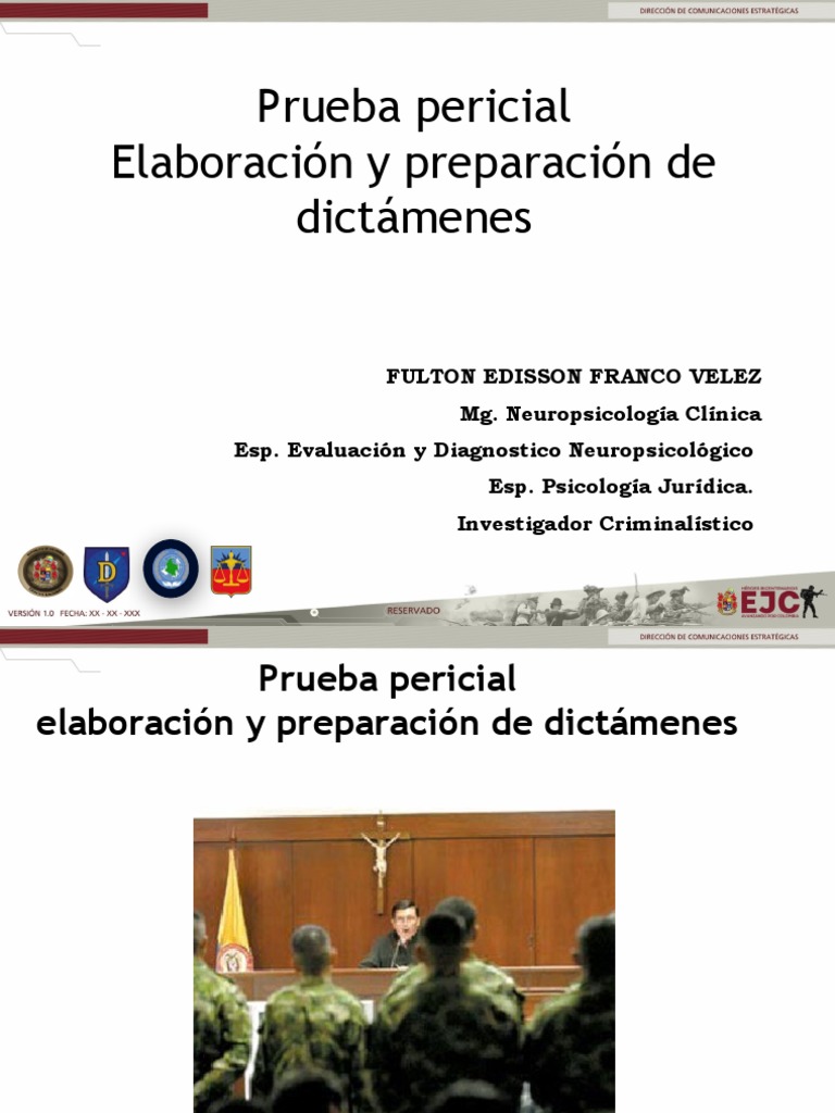 Prueba Pericial | PDF | Testigo experto | Testigo