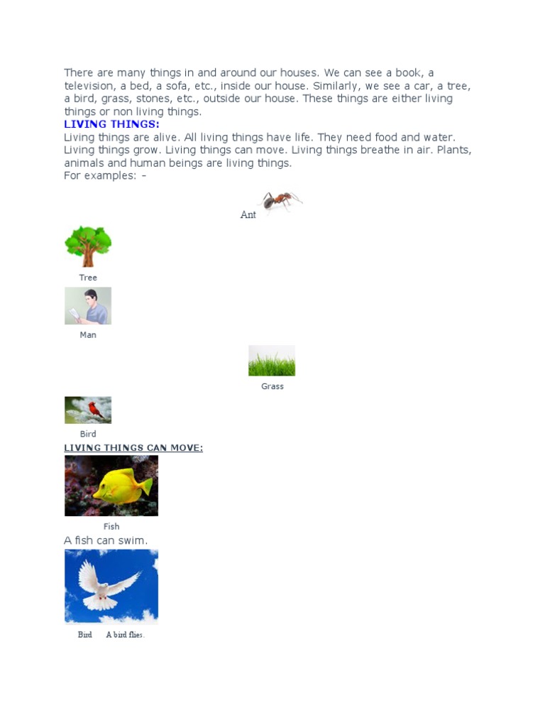 Living vs Non-Living Things Explained | PDF