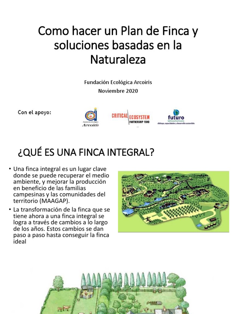 Las Soluciones Basadas en Las Naturaleza en Los Andes Tropicales | PDF ...