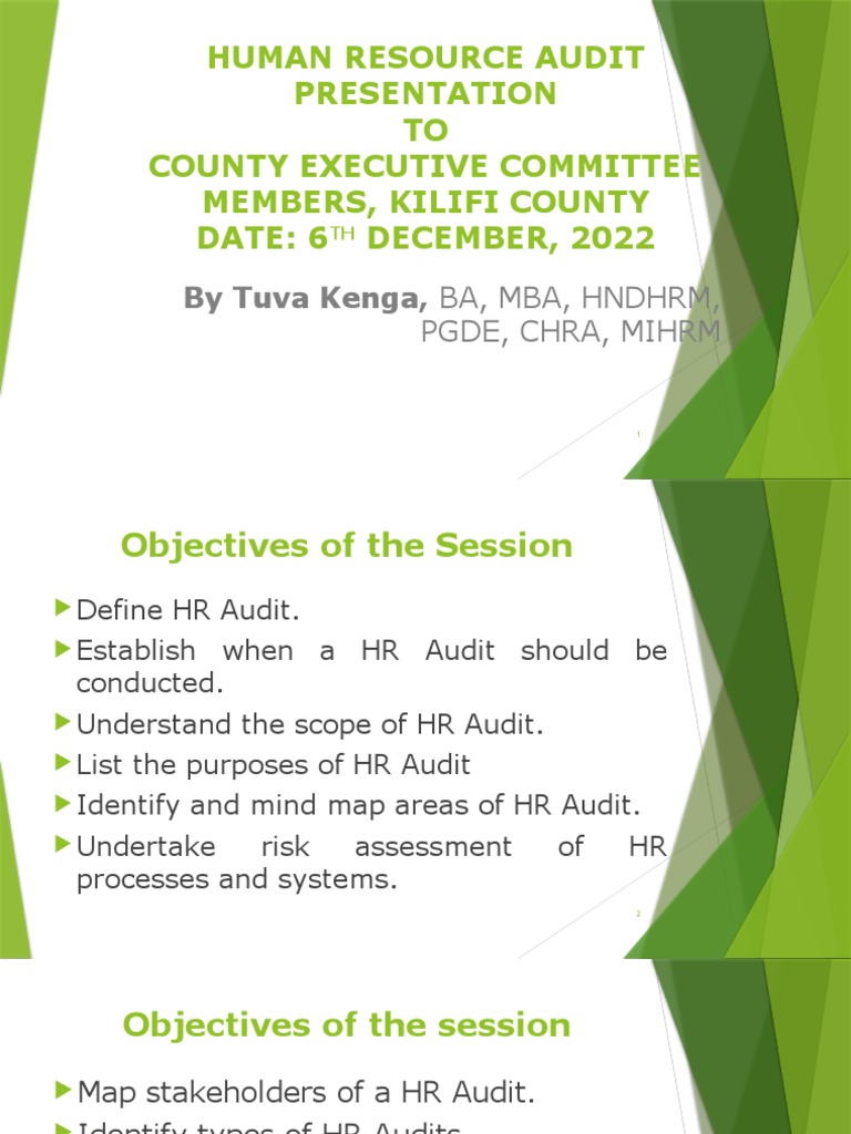 HR Audit | PDF | Human Resources | Auditor's Report