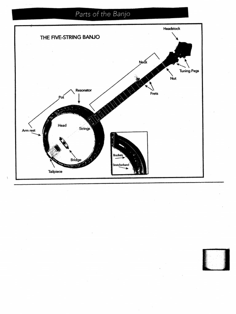 Banjo | PDF