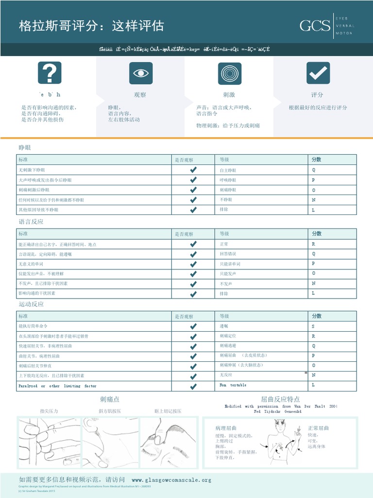 GCS Assessment Aid Chinese | PDF