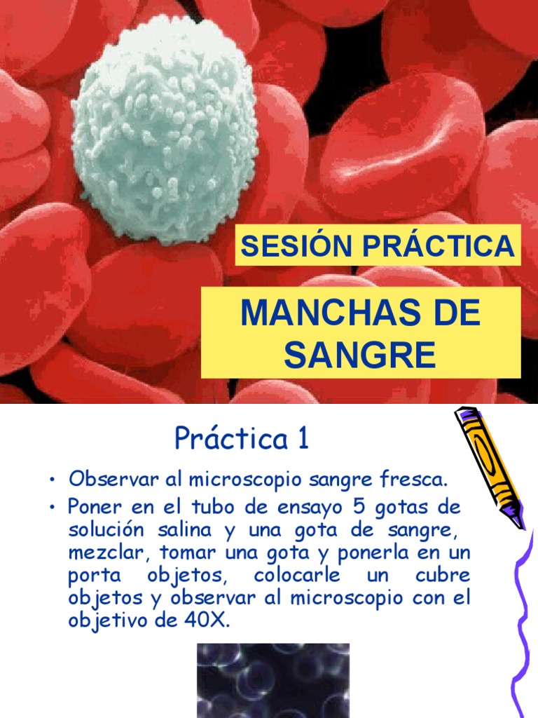 Practicas de Sangre | PDF | Tipo de sangre | Sangre