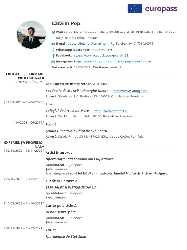 CV - Cătălin Pop | PDF