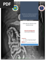 Protocolo de Tránsito Intestinal | PDF | Intestino delgado | Diarrea