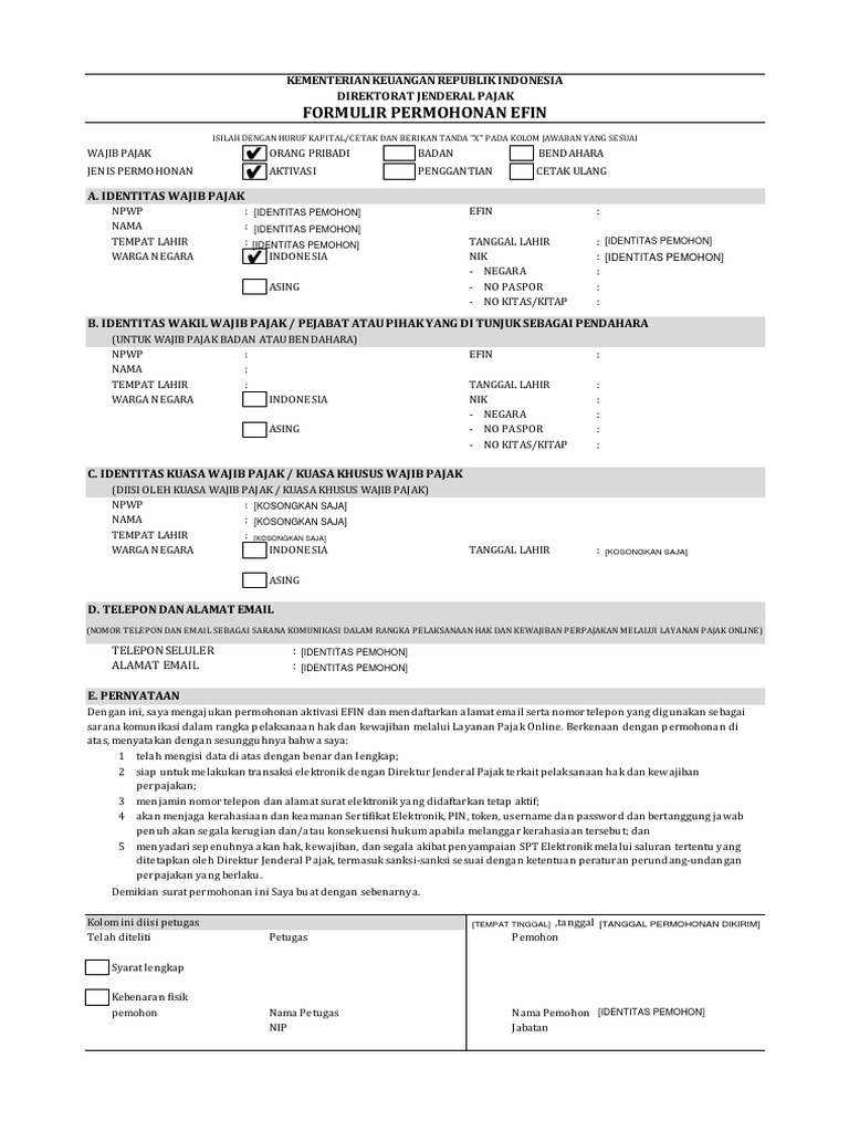 Formulir Permohonan EFIN Orang Pribadi | PDF | Hukum