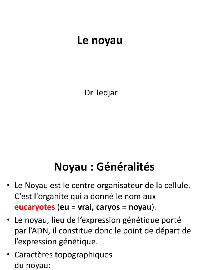 Noyau et Nucléole : Rôles et Structures | PDF | Noyau (biologie ...