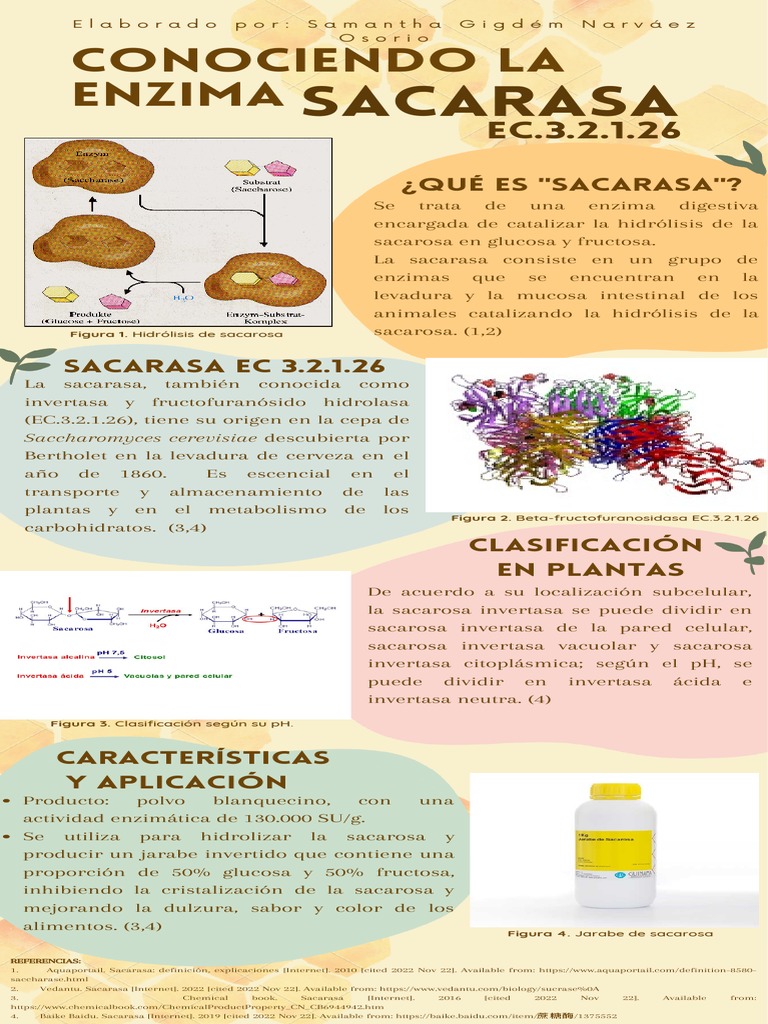Infografía Conociendo La Enzima Sacarasa EC.3.2.1.26 | PDF | Sacarosa ...