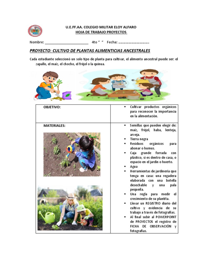 Proyecto de Cultivo de Plantas Ancestrales | PDF | Siembra | Agricultura