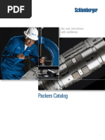 SLB Packer Catalog PDF | PDF | Casing (Borehole) | Drilling Rig