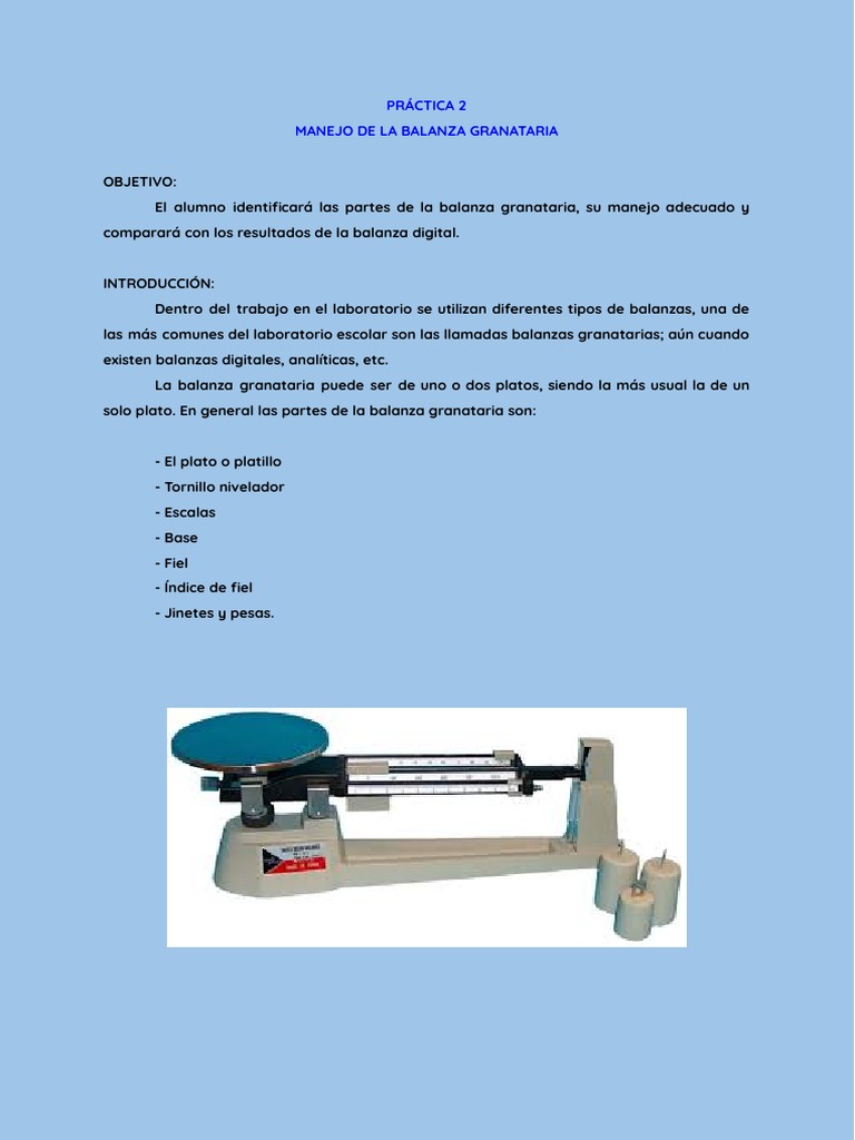Archivo Adjunto: PDF: PRACTICA 2, BALANZA, F | PDF | Balanza