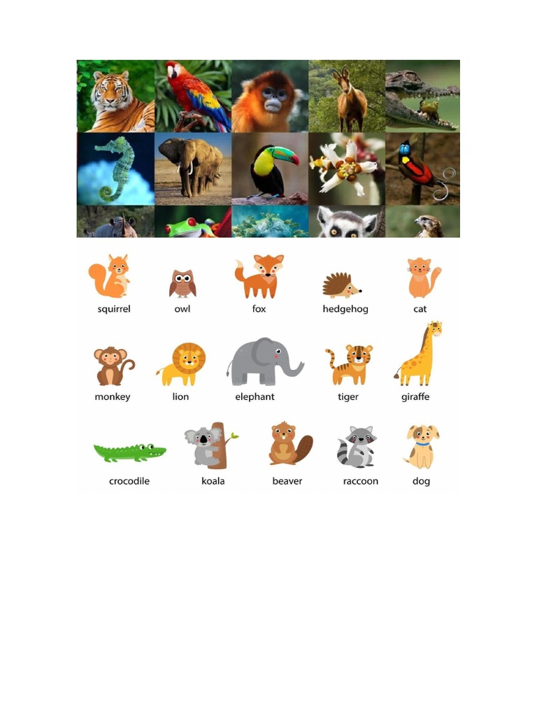 Animales en Ingles | PDF