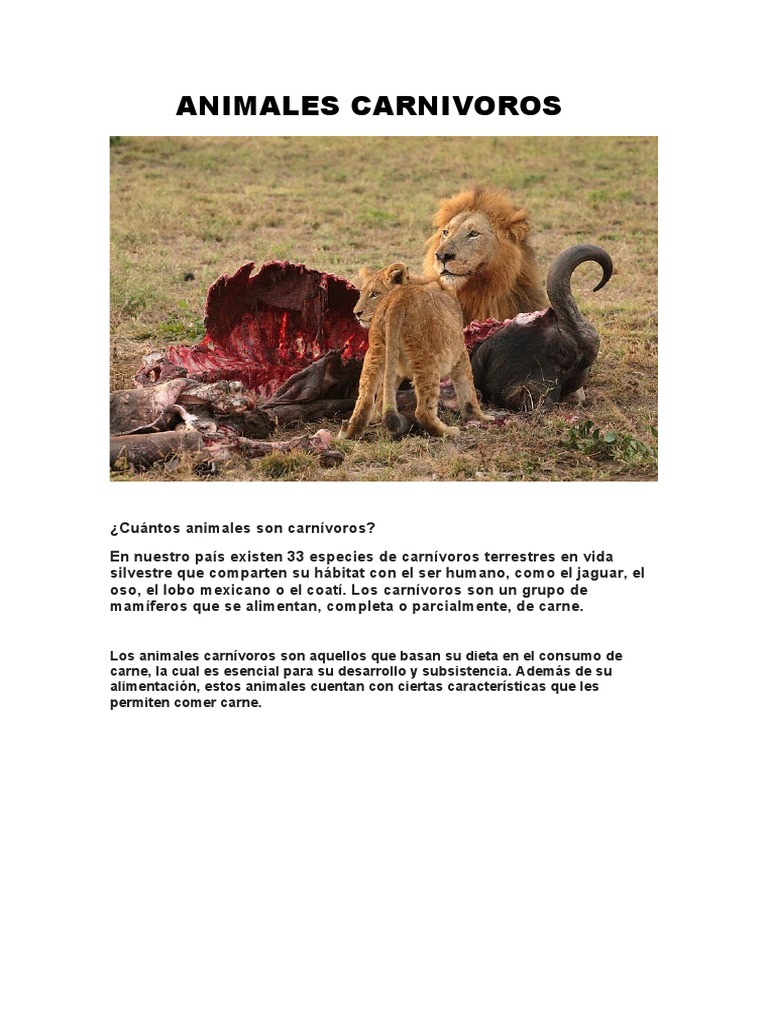 Animales Carnivoros | PDF