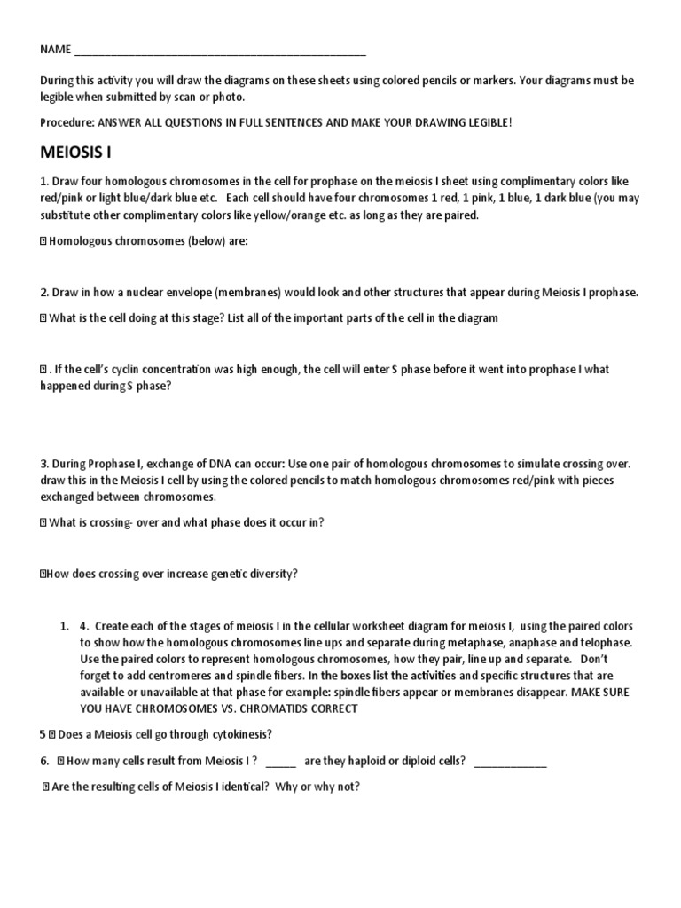 Meiosis Diagrams Worksheet Download Free Pdf Meiosis Mitosis