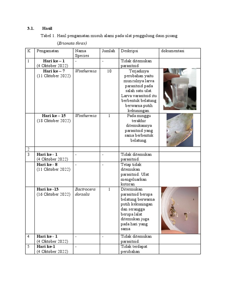 Tabel Hasil Pengamatan Musuh Alami Ulat Pisang | PDF