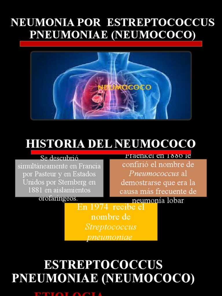 Neumococo | PDF | Neumonía | Meningitis