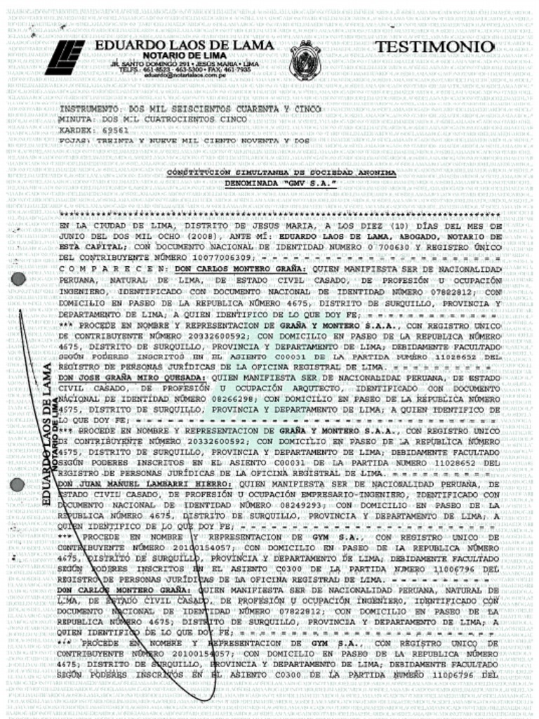 Testimonio de Constitucion de La Empresa Partida Registral | PDF