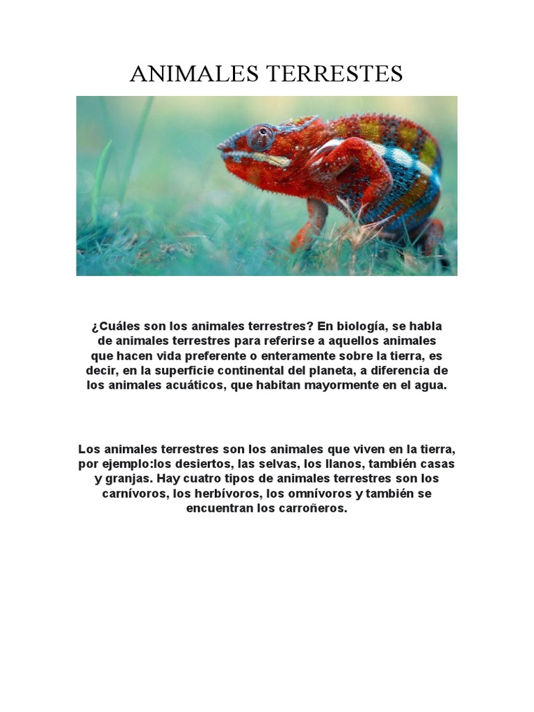 Tipos de Animales Terrestres | PDF | Hogar, jardinería y bricolaje ...