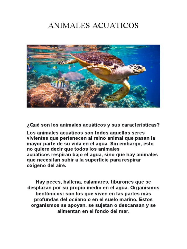 Características de los Animales Acuáticos | PDF