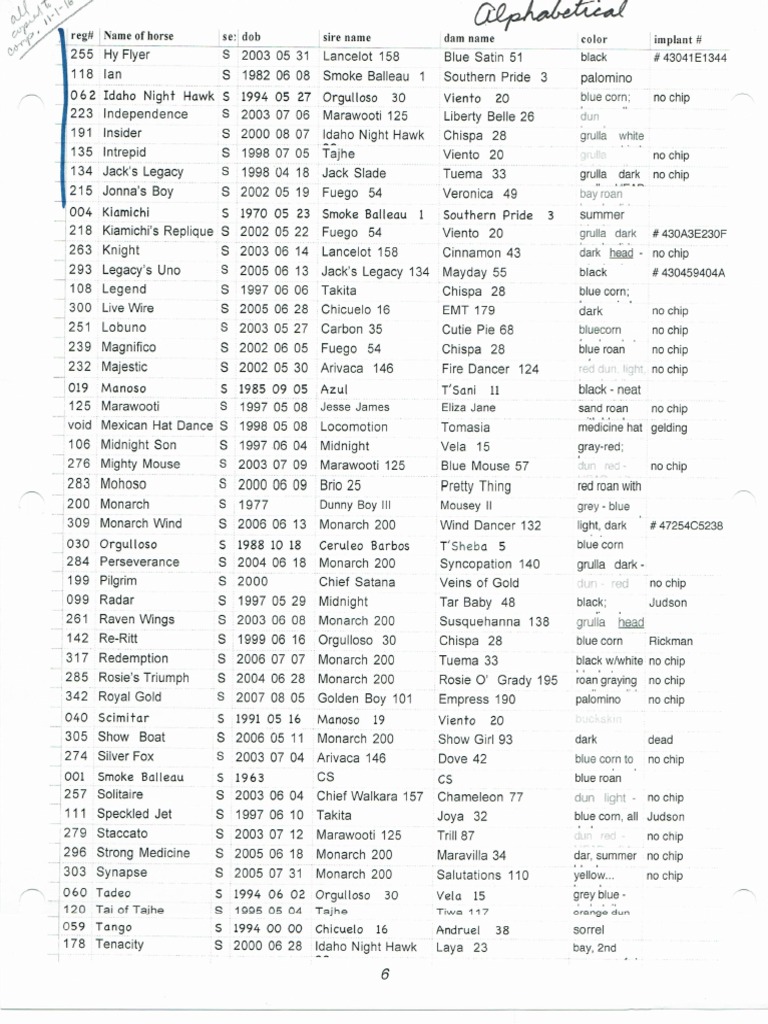 2016 Computer Printout Names Dob Implant | PDF