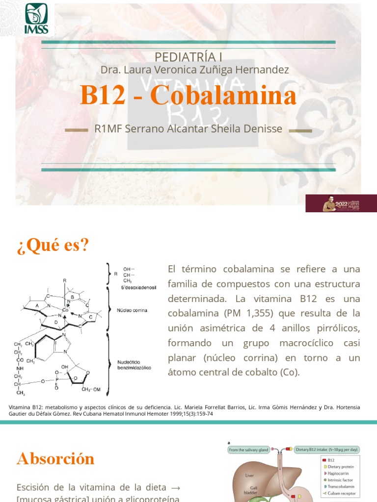 B12 - Cobalamina | PDF | Vitamina B12 | Nutrición