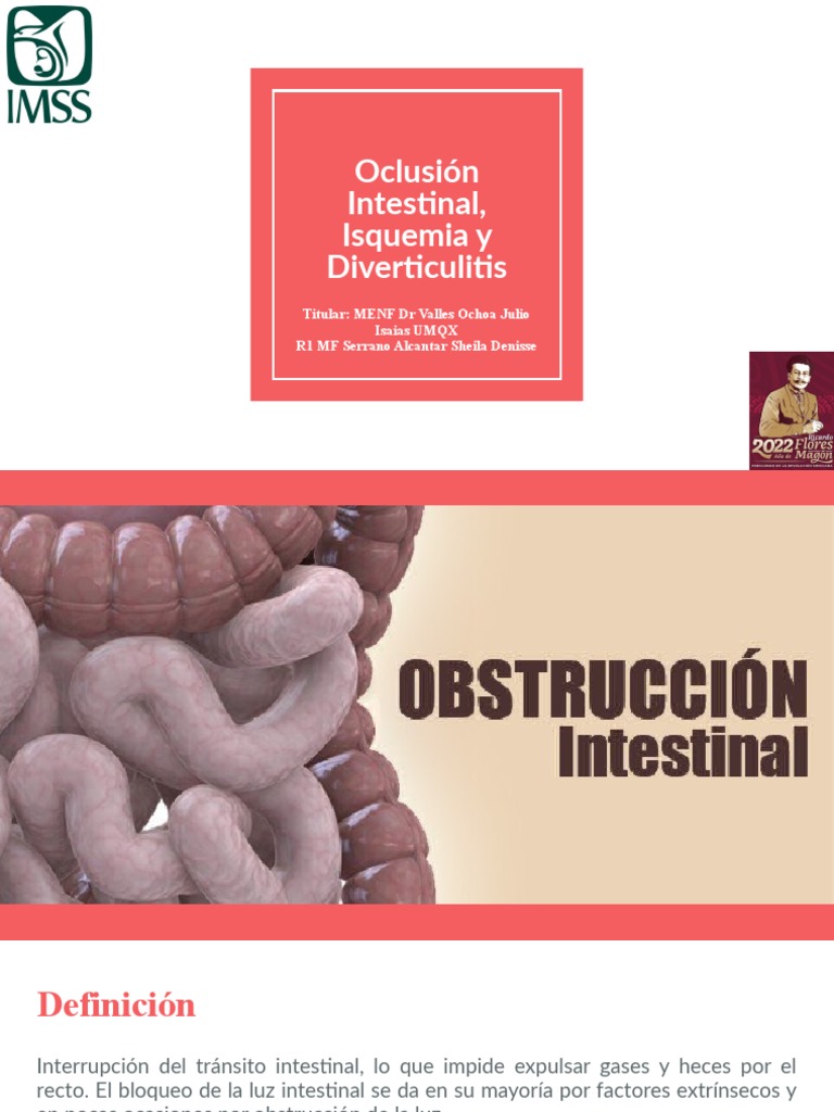 Oclusión Intestinal, Isquemia y Diverticulitis | PDF | Isquemia ...